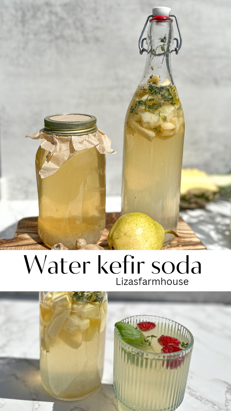 Water kefir: fermented fruit juice - lizasfarmhouse.com