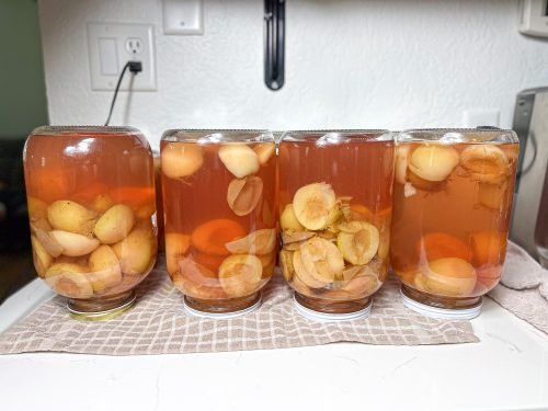 canning homemade fruit juice - lizasfarmhouse.com
