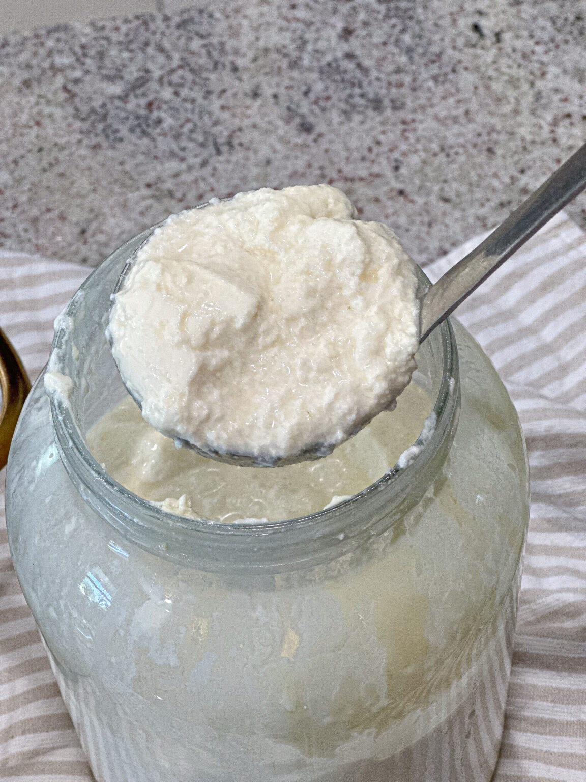 Farmer's cheese ( Tvorog) - lizasfarmhouse.com