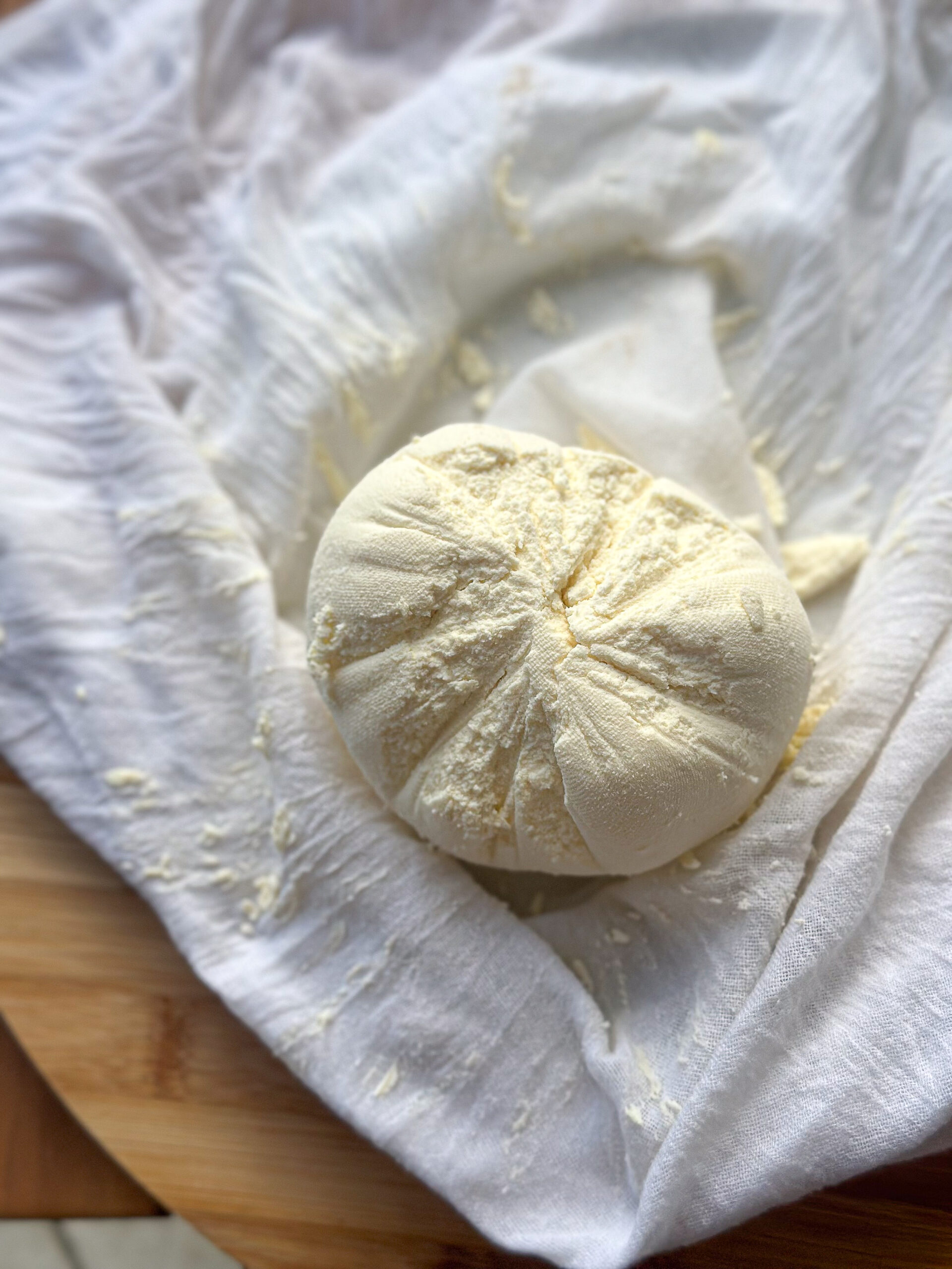 Farmer's cheese ( Tvorog) - lizasfarmhouse.com