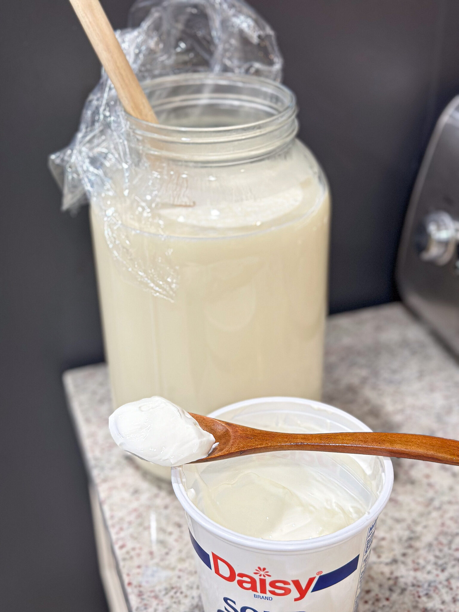 Farmer's cheese ( Tvorog) - lizasfarmhouse.com